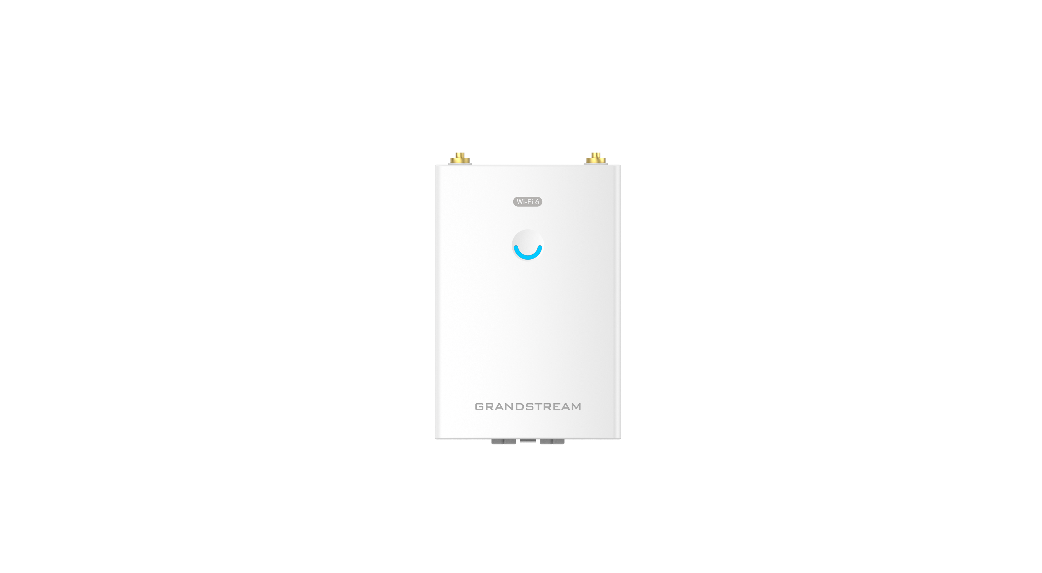 Grandstream GWN7660ELR Wireless Access Point Outdoor Long-Range - TECU